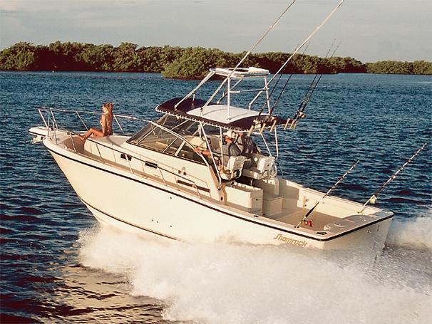 29' Shamrock 290 Walkaround-2001-fairhaven-100769491