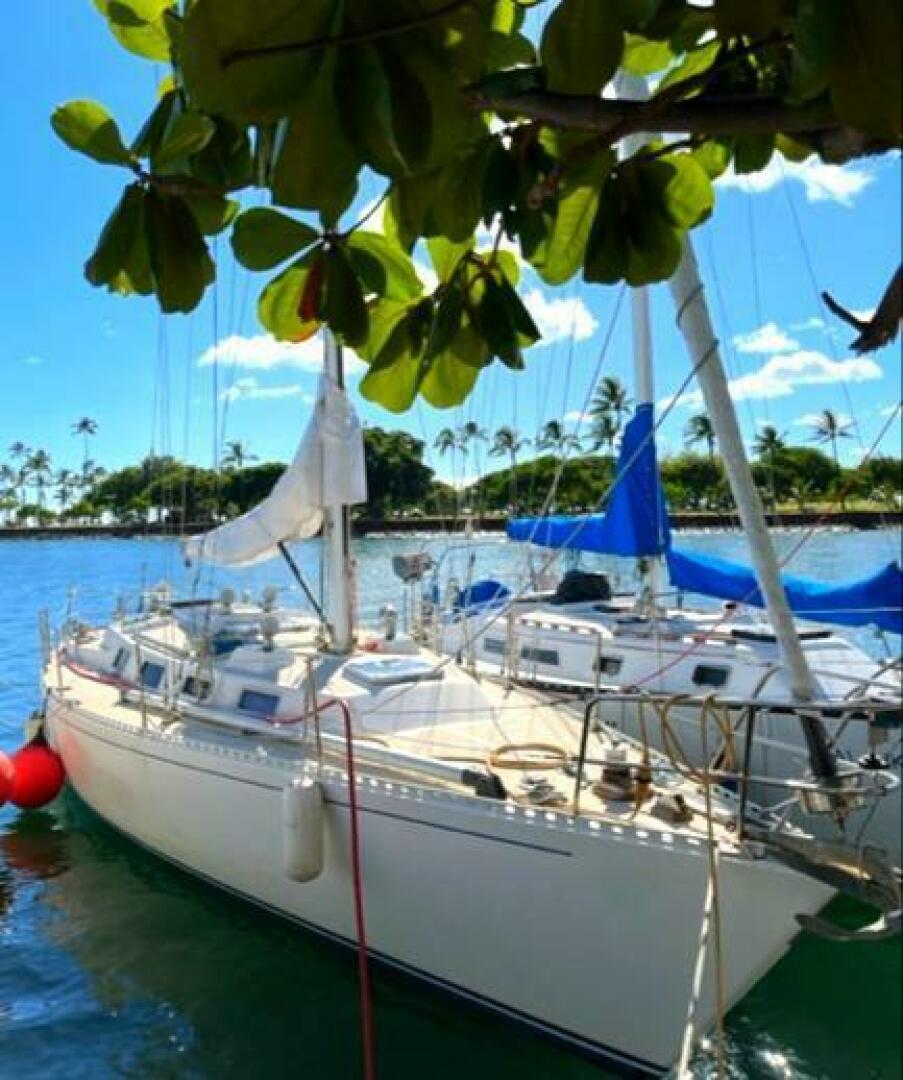 J Boats Masthead Sloop 1986 - Marine Source